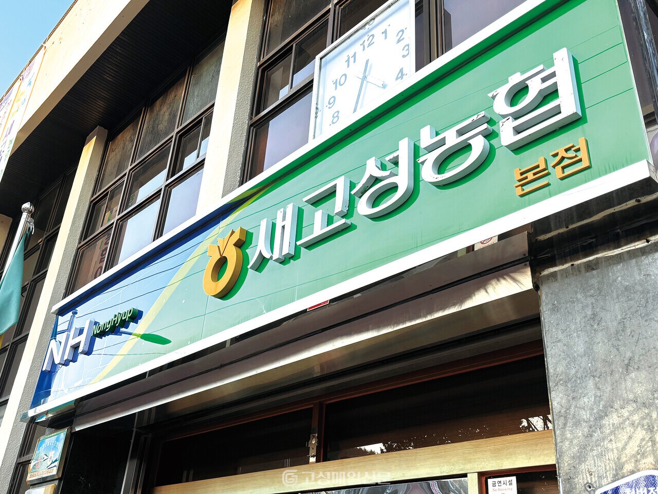 좌초 위기 '새고성농협', 2년간 부실대출 67건·241억